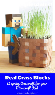 Real Minecraft Grassblock 2.0 - stlMotherhood