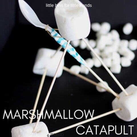 More Mini Catapults than you can Shake a Stick at - stlMotherhood