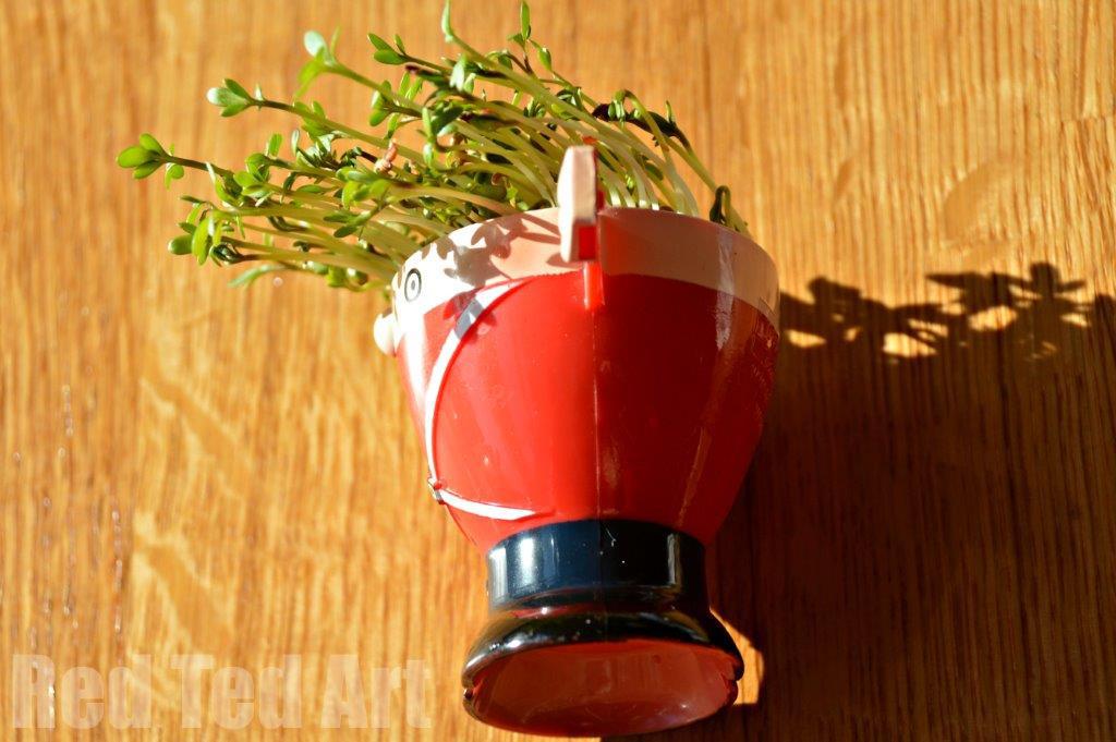 A Dozen Ways to Study Seeds with STEM Experiments - stlMotherhood