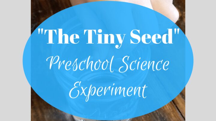 A Dozen Ways to Study Seeds with STEM Experiments - stlMotherhood
