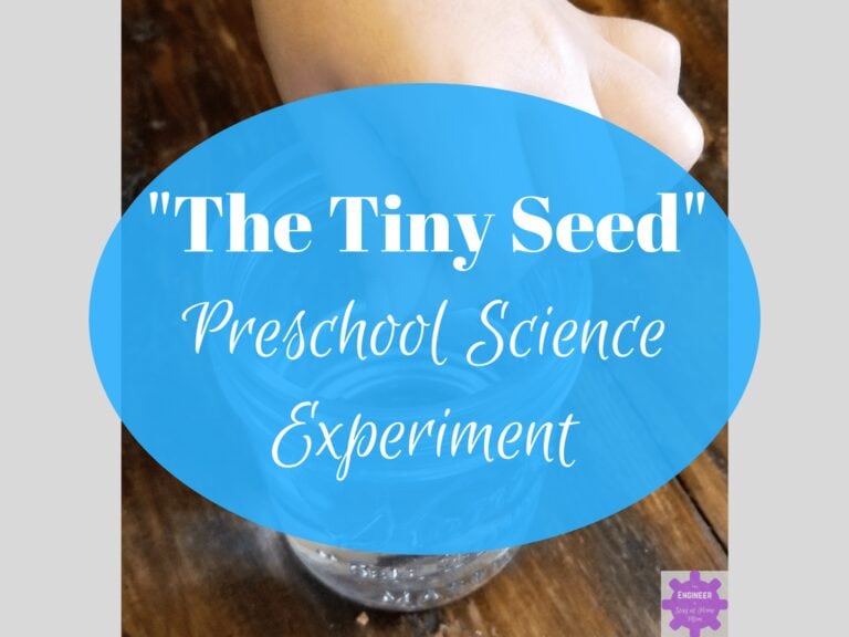 A Dozen Ways to Study Seeds with STEM Experiments - stlMotherhood