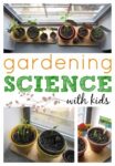 A Dozen Ways to Study Seeds with STEM Experiments - stlMotherhood