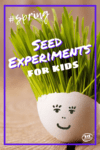 A Dozen Ways to Study Seeds with STEM Experiments - stlMotherhood