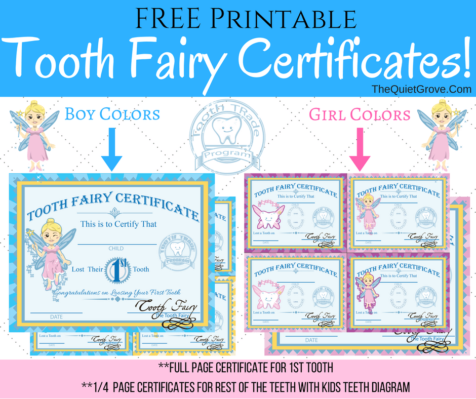 12 Cute Tooth Fairy Ideas for that First Tooth - stlMotherhood