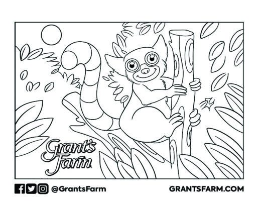 Free Coloring Pages of St. Louis