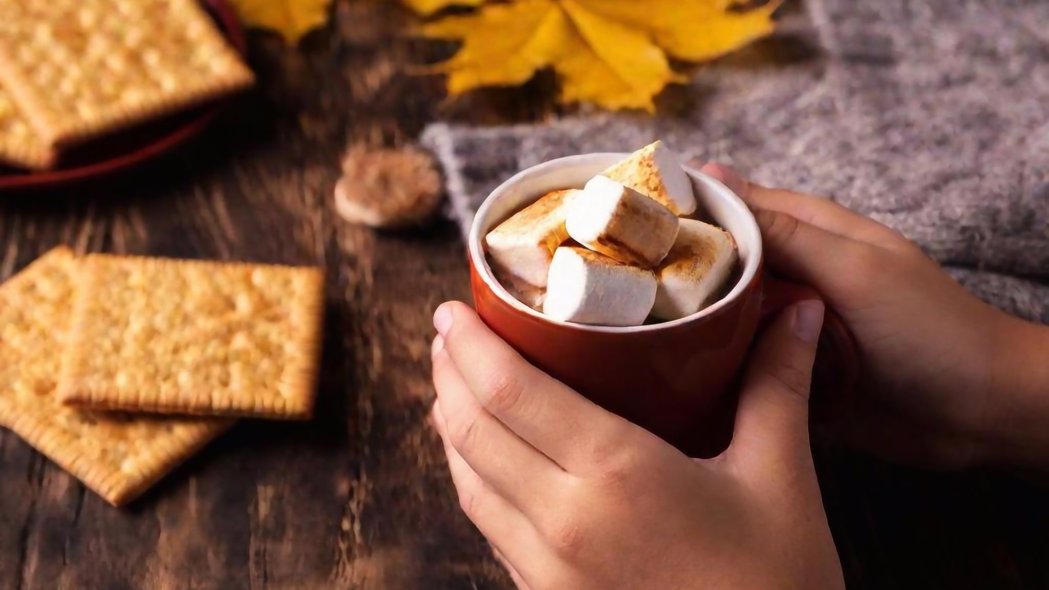 8 Fun & Cozy Fall Activities for Families to Enjoy at Home - stlMotherhood