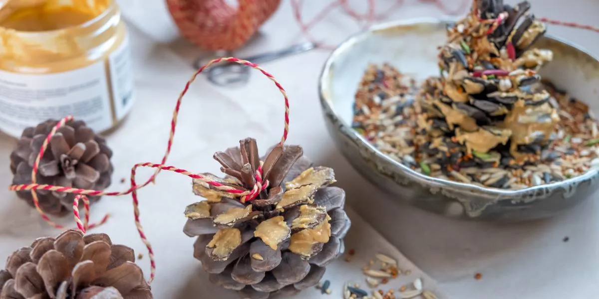 Make a Pinecone Bird Feeder - stlMotherhood