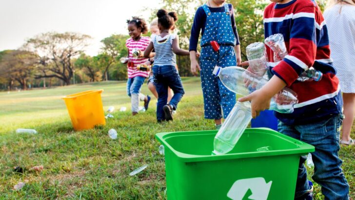 DIY Soil Science: Fun Crafts and Experiments for Kids - stlMotherhood