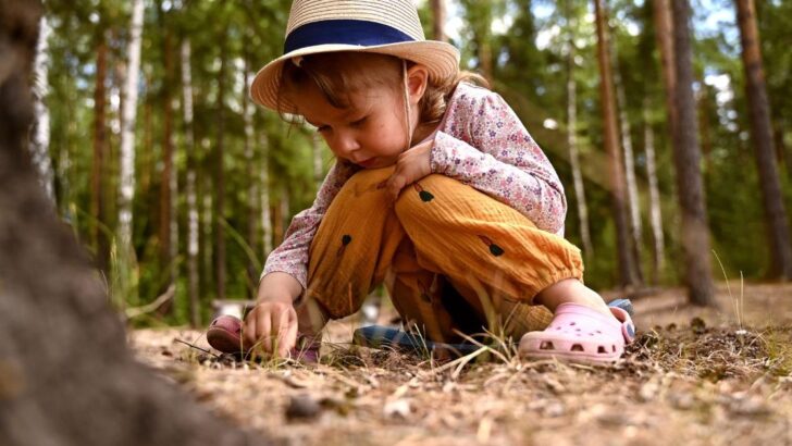DIY Soil Science: Fun Crafts and Experiments for Kids - stlMotherhood